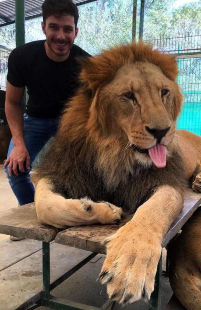 Lee, 34, Seoul - "GayFriendly"